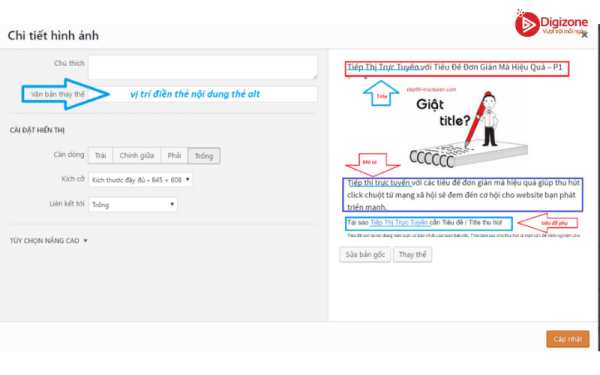 Thẻ ALT là gì? Cách tối ưu hình ảnh trong SEO - Digizone Việt Nam